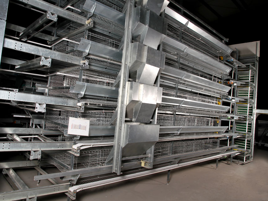 H Type Layer Chicken Cage | H Type Battery Cages | FamTECH