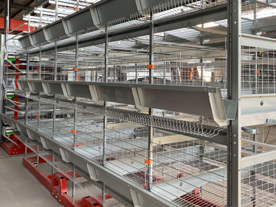 Layer Cages For Sale | A Type H Type Chicken Layer Cage | FamTECH