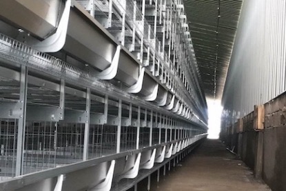 Chicken Cages Project | H Type Layer Cage Installed In Togo