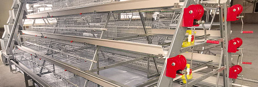 Chicks Cages For Sale | Baby Chick Cages | Brooder Cages